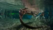 Animal (2021) | NatureRules1 Wiki | Fandom