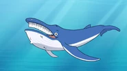 Blue Whale/TV Shows | NatureRules1 Wiki | Fandom