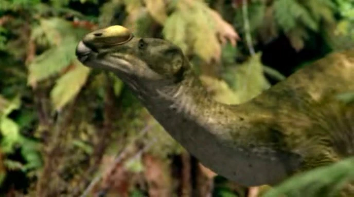 Muttaburrasaurus | NatureRules1 Wiki | Fandom