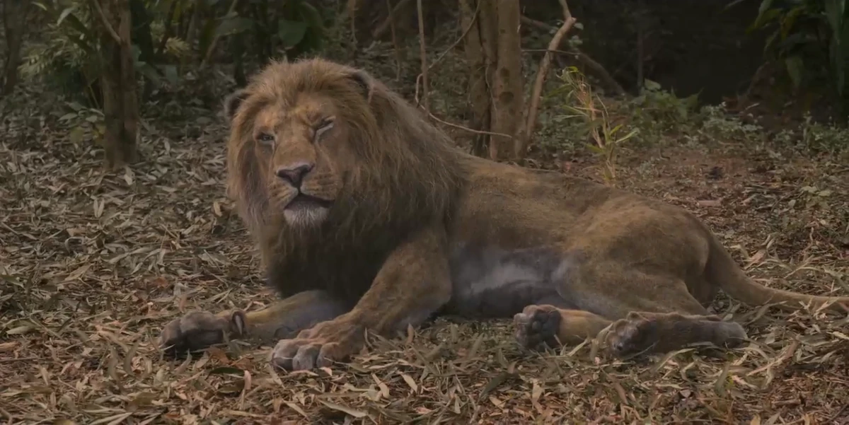 Primeval | NatureRules1 Wiki | Fandom