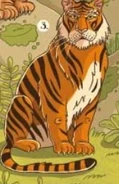 Javan Tiger | NatureRules1 Wiki | Fandom
