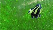 List of Species in Finding Nemo | NatureRules1 Wiki | Fandom