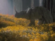 Monoclonius | NatureRules1 Wiki | Fandom
