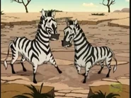 Grévy's Zebra | NatureRules1 Wiki | Fandom