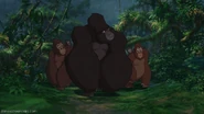 List of Species in Tarzan | NatureRules1 Wiki | Fandom