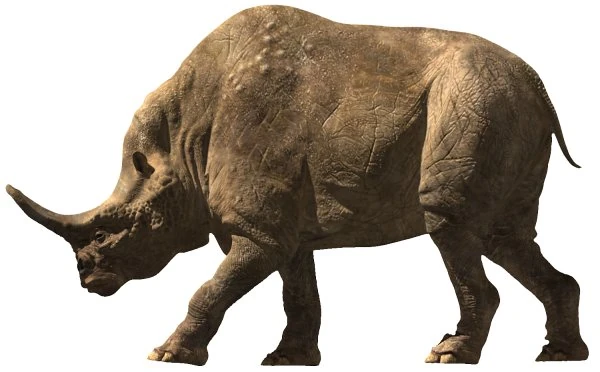 Category:Brontotheres | NatureRules1 Wiki | Fandom