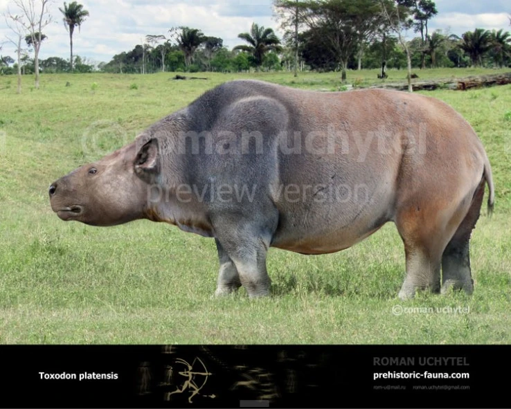 Toxodon | NatureRules1 Wiki | Fandom