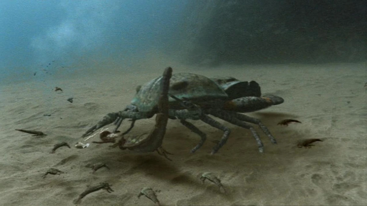 Pterygotus | NatureRules1 Wiki | Fandom