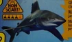 1000 Things Under the Sea Animals Alphabet | NatureRules1 Wiki | Fandom