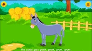 Provence Donkey | NatureRules1 Wiki | Fandom