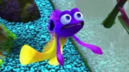 List of Species in Finding Nemo | NatureRules1 Wiki | Fandom