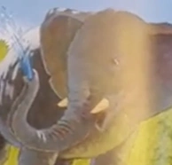 Category:Channels | NatureRules1 Wiki | Fandom