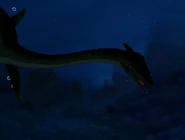 Muraenosaurus | NatureRules1 Wiki | Fandom