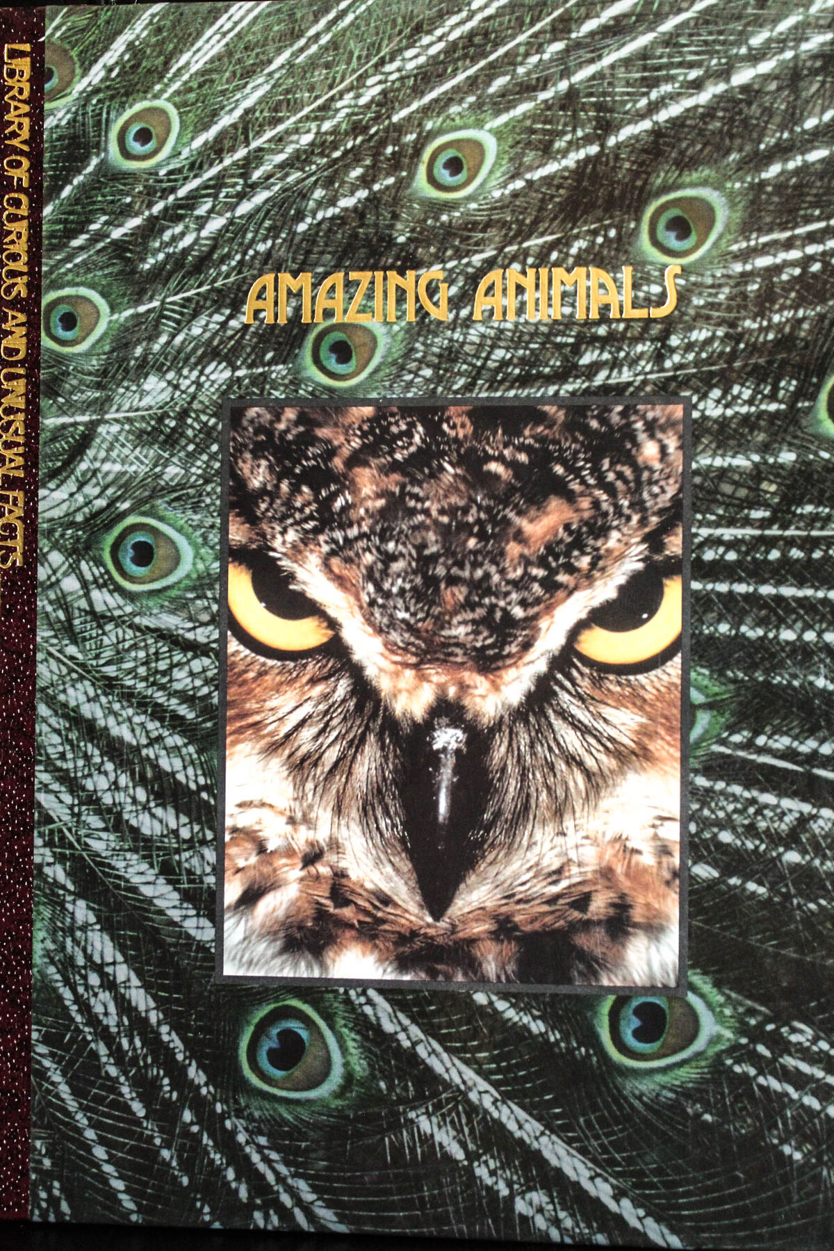 Amazing Animal Facts 1991 | NatureRules1 Wiki | Fandom