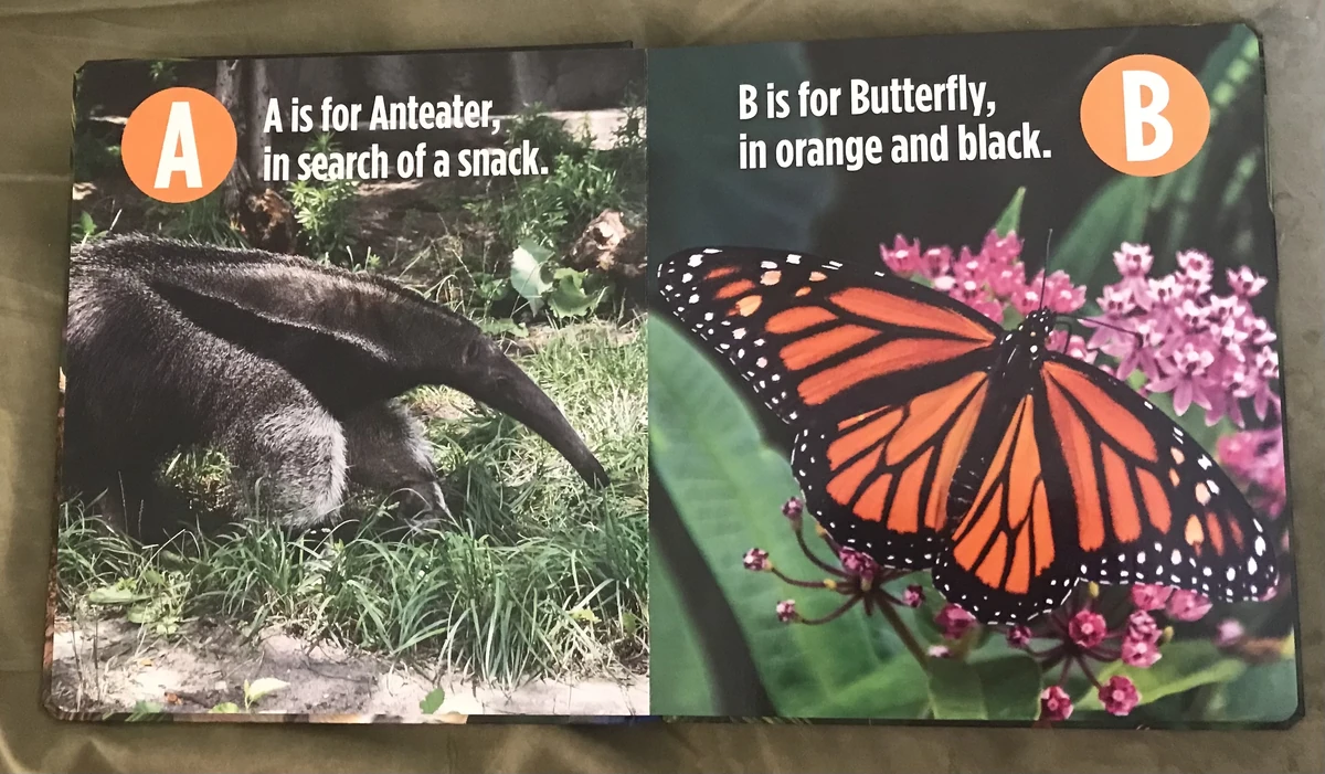 List of Species In ABC Animals (Stephen Majsak) | NatureRules1 Wiki ...