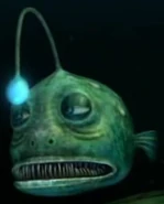 Humpback Anglerfish | NatureRules1 Wiki | Fandom