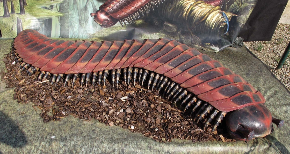 Arthropleura | NatureRules1 Wiki | Fandom