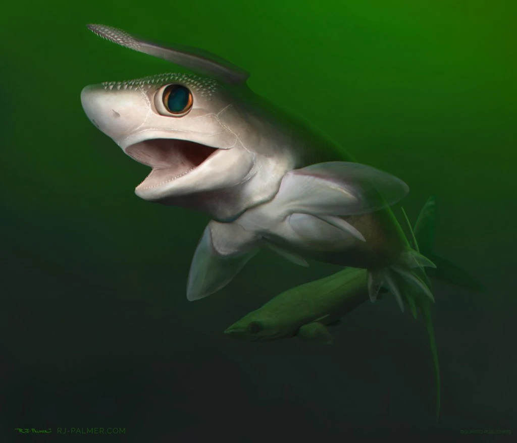 Falcatus | NatureRules1 Wiki | Fandom