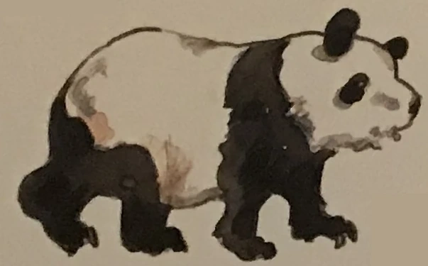 Giant Panda/Books | NatureRules1 Wiki | Fandom