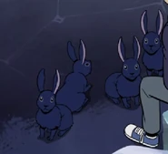 Beveren Rabbit | NatureRules1 Wiki | Fandom