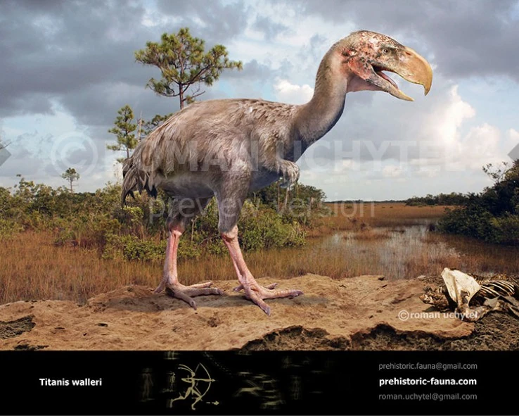 Titanis | NatureRules1 Wiki | Fandom