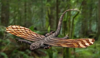 Icarosaurus | NatureRules1 Wiki | Fandom