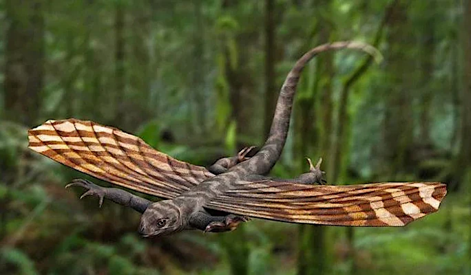 Icarosaurus | NatureRules1 Wiki | Fandom