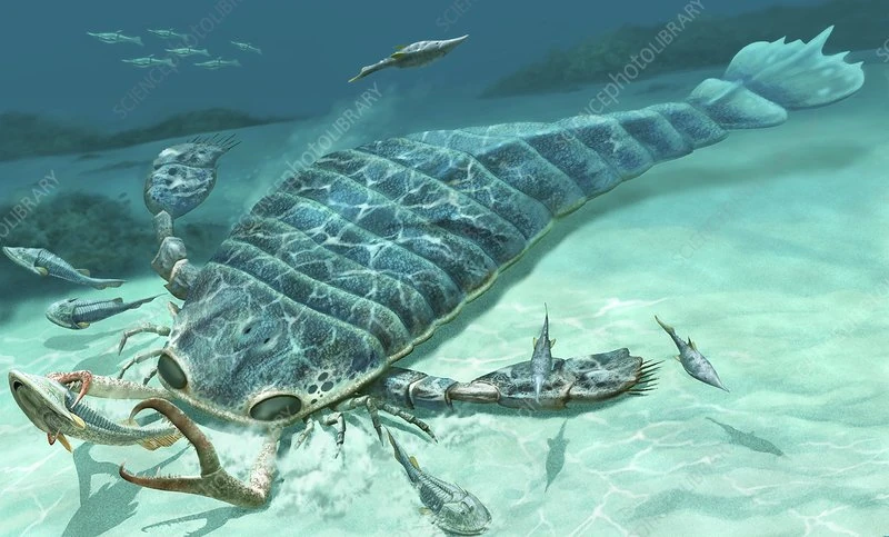 Jaekelopterus | NatureRules1 Wiki | Fandom