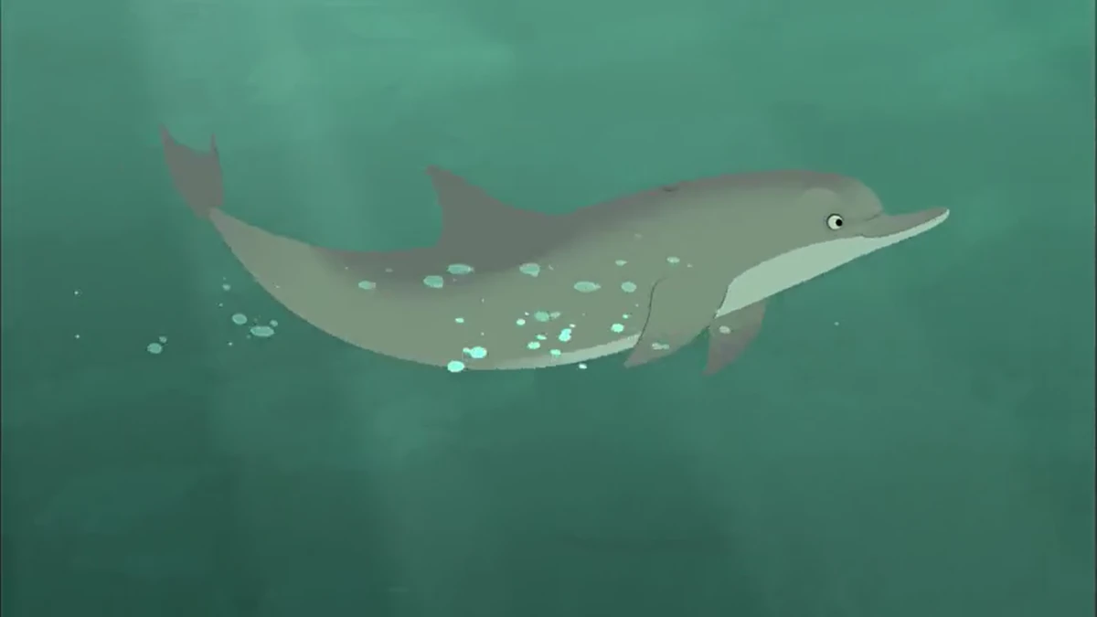 The Illustrated Guide to Marine Fish of the World | NatureRules1 Wiki ...