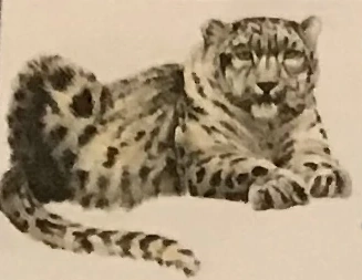 Snow Leopard/Books | NatureRules1 Wiki | Fandom