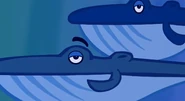 Blue Whale/TV Shows | NatureRules1 Wiki | Fandom