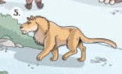 American Lion | NatureRules1 Wiki | Fandom