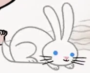 Domestic Rabbit | NatureRules1 Wiki | Fandom