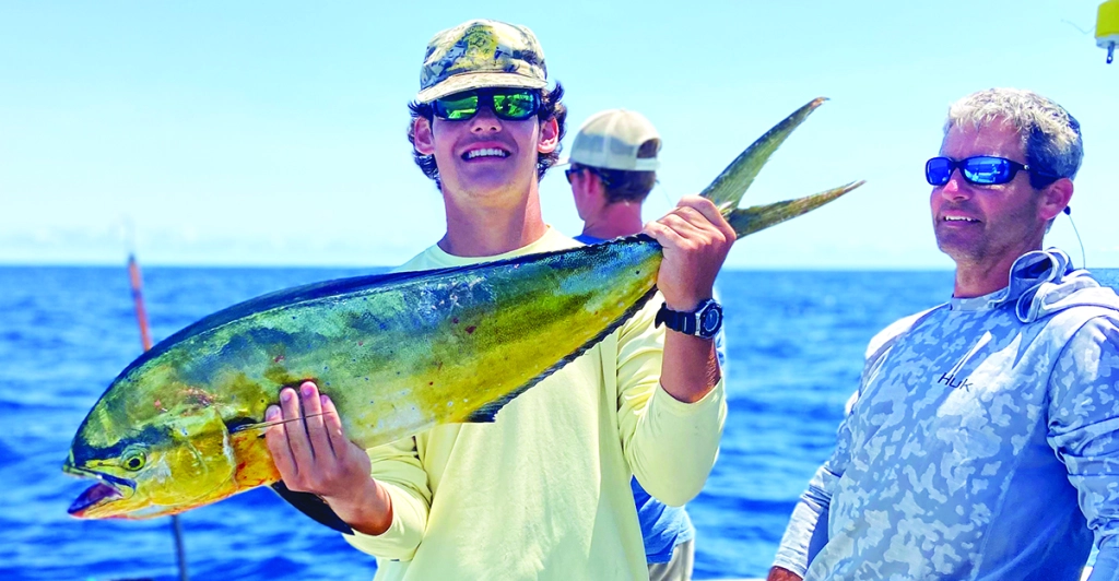 Pompano Dolphinfish | NatureRules1 Wiki | Fandom