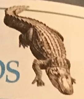 American Alligator/Books | NatureRules1 Wiki | Fandom