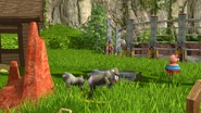 Mandrill | NatureRules1 Wiki | Fandom