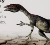 List of Species in dink the little dinosaur | NatureRules1 Wiki | Fandom