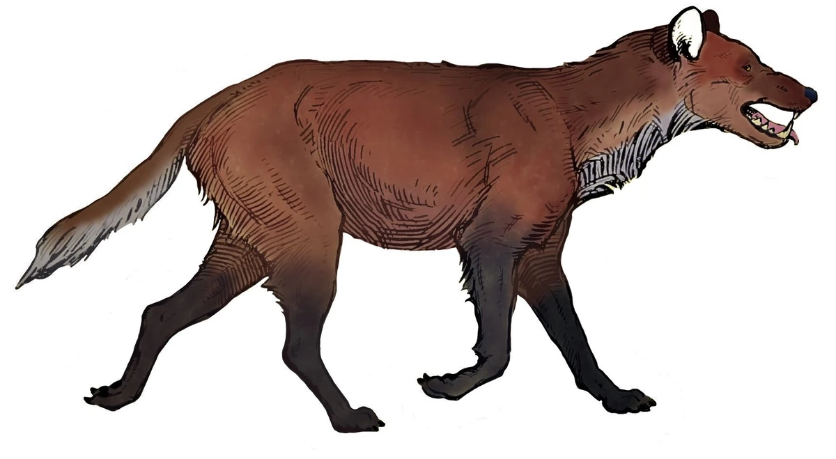 Dire Wolf | NatureRules1 Wiki | Fandom