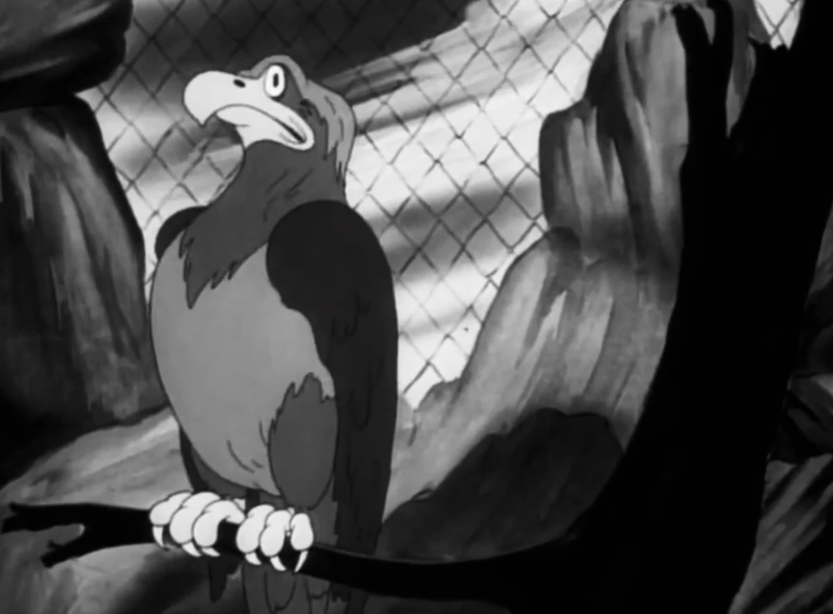 Bald Eagle/TV Shows | NatureRules1 Wiki | Fandom