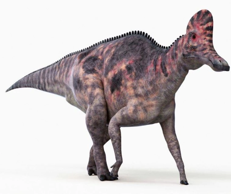 Corythosaurus | NatureRules1 Wiki | Fandom