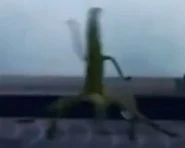 Ribesal | NatureRules1 Wiki | Fandom