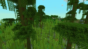 List of biomes | Nature's Spirit Wiki | Fandom