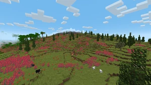 List of biomes | Nature's Spirit Wiki | Fandom