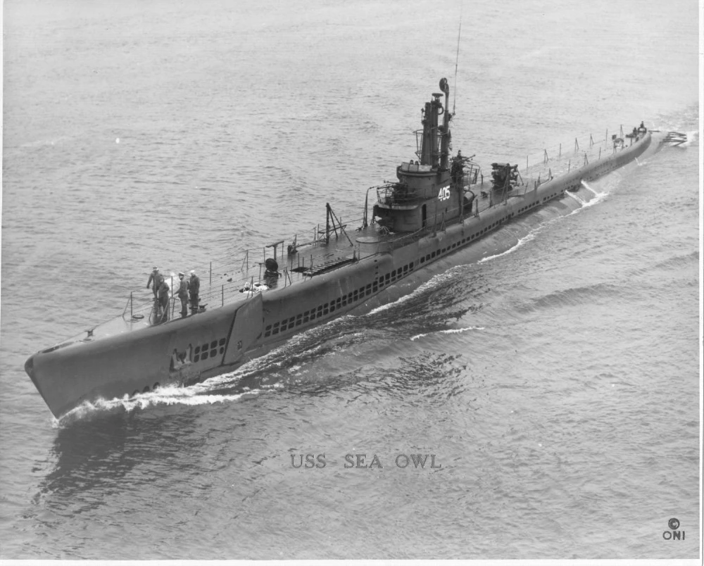 USS Sea Owl | Naval Wiki | Fandom