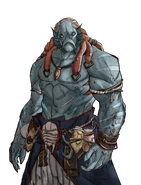 Navigavia Wiki | Fandom