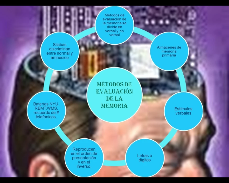 SEGUNDO CORTE | Naya portilla Wiki | Fandom