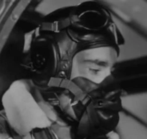 German Pilot 2 (Combat!) | Deutsche Soldaten Wiki | Fandom