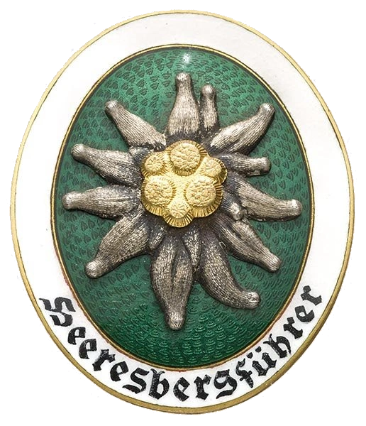 Category:Army Mountain Guide Badge | Deutsche Soldaten Wiki | Fandom