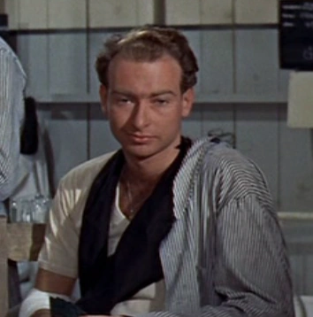 Schilling | Deutsche Soldaten Wiki | Fandom