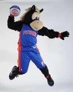 Detroit Pistons | Basketball Wiki | Fandom